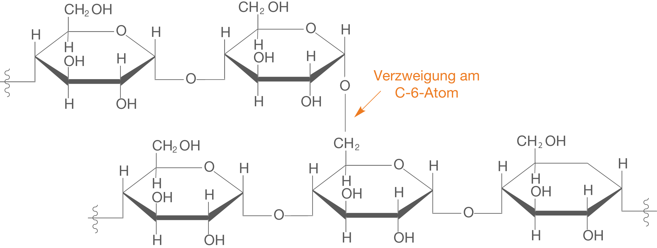Naturstoffe: Polysaccharide (Digitales Schulbuch Chemie)