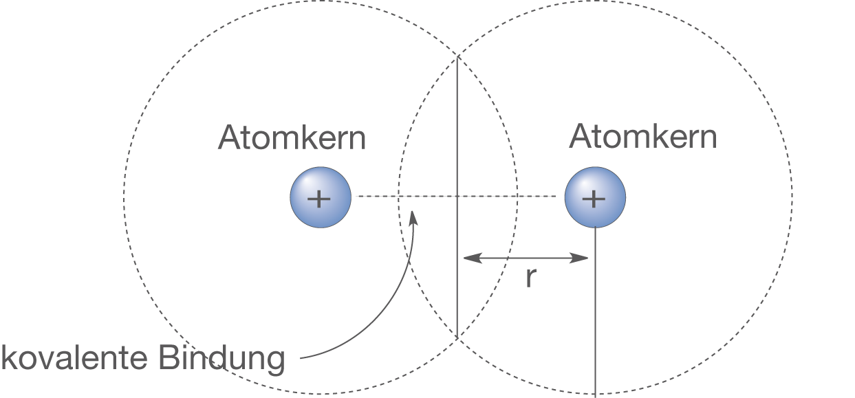 Grundlagen: PSE-Gruppen und -Tendenzen (Digitales Schulbuch Chemie)