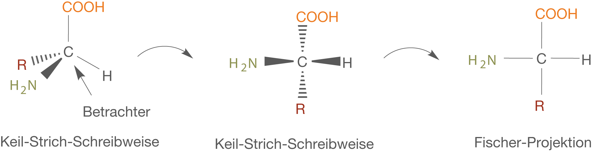 Naturstoffe: Aminosäuren (Digitales Schulbuch Chemie)