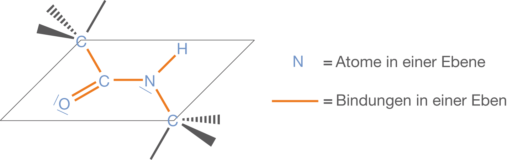 Naturstoffe: Peptide und Proteine (Digitales Schulbuch Chemie)