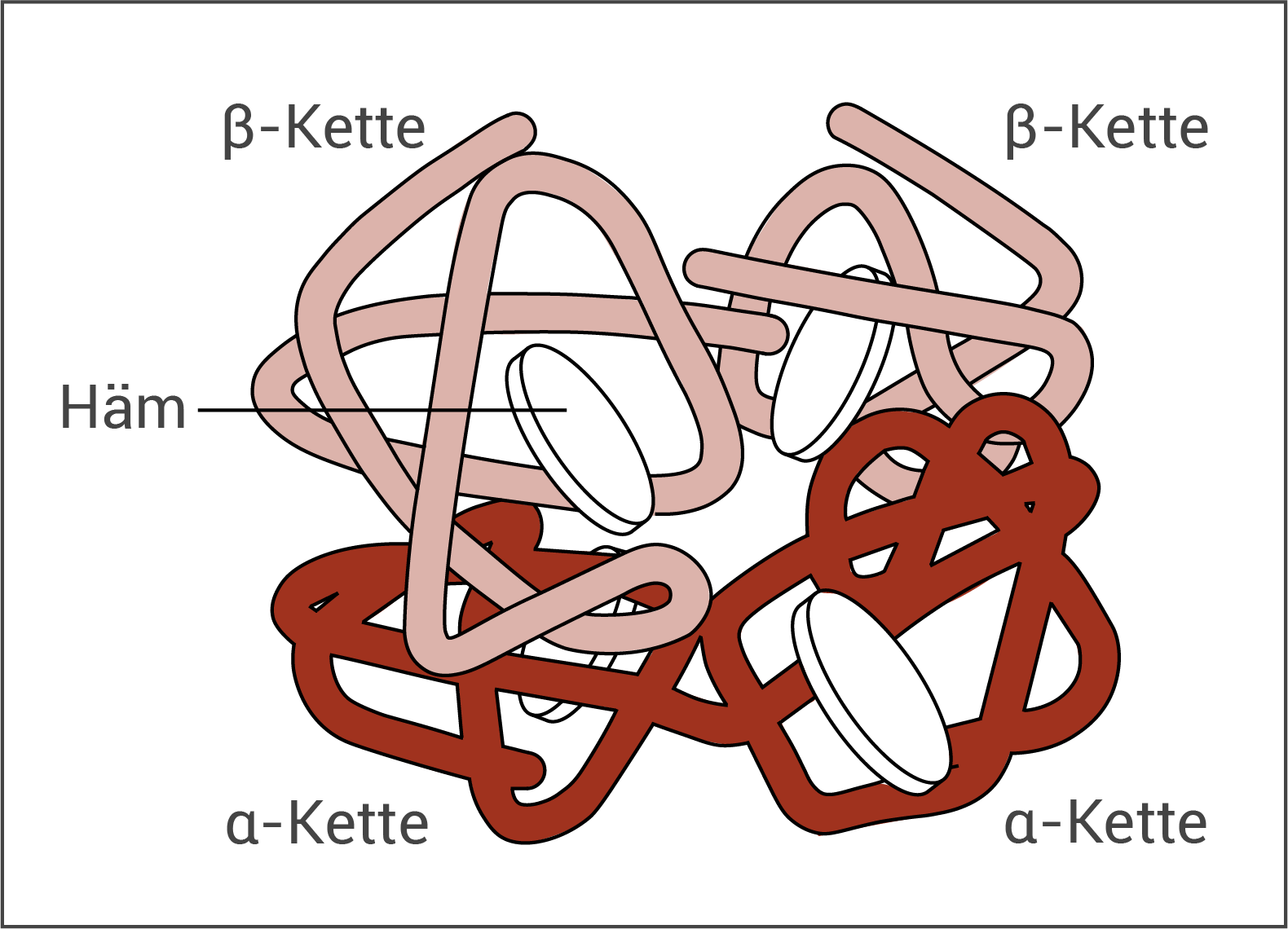 SchulLV - Dein digitales Lernverzeichnis