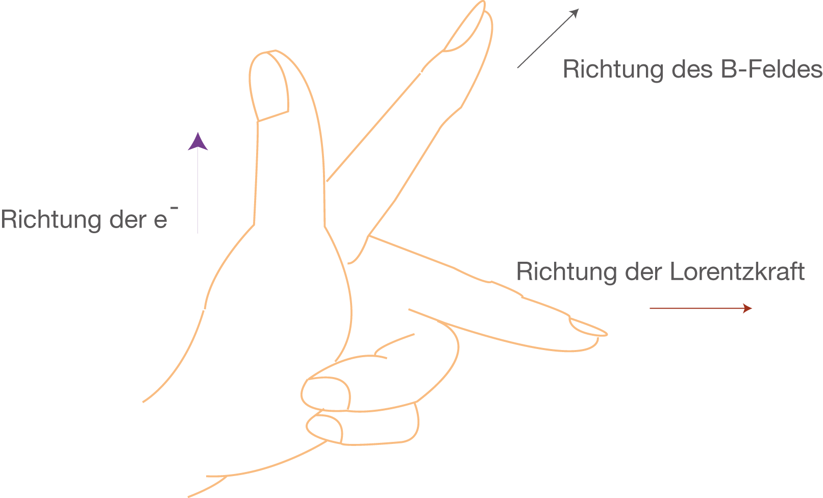 Was Ist Der Unterschied Zwischen Linken Und Rechten Hand Regeln? – GUESX